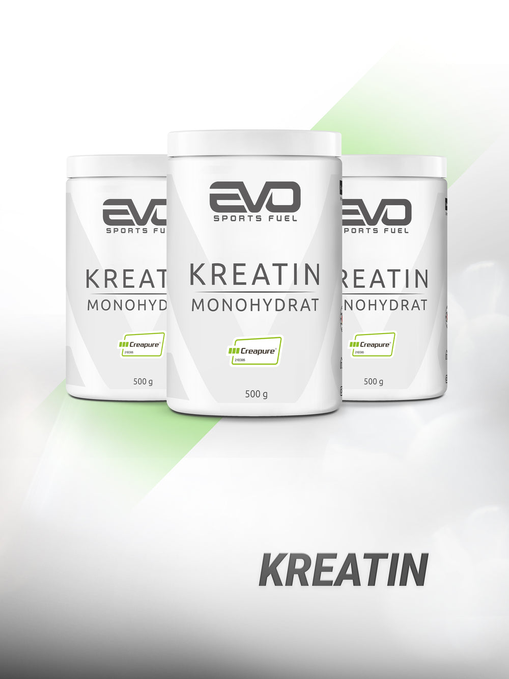 EVO SPORTS FUEL