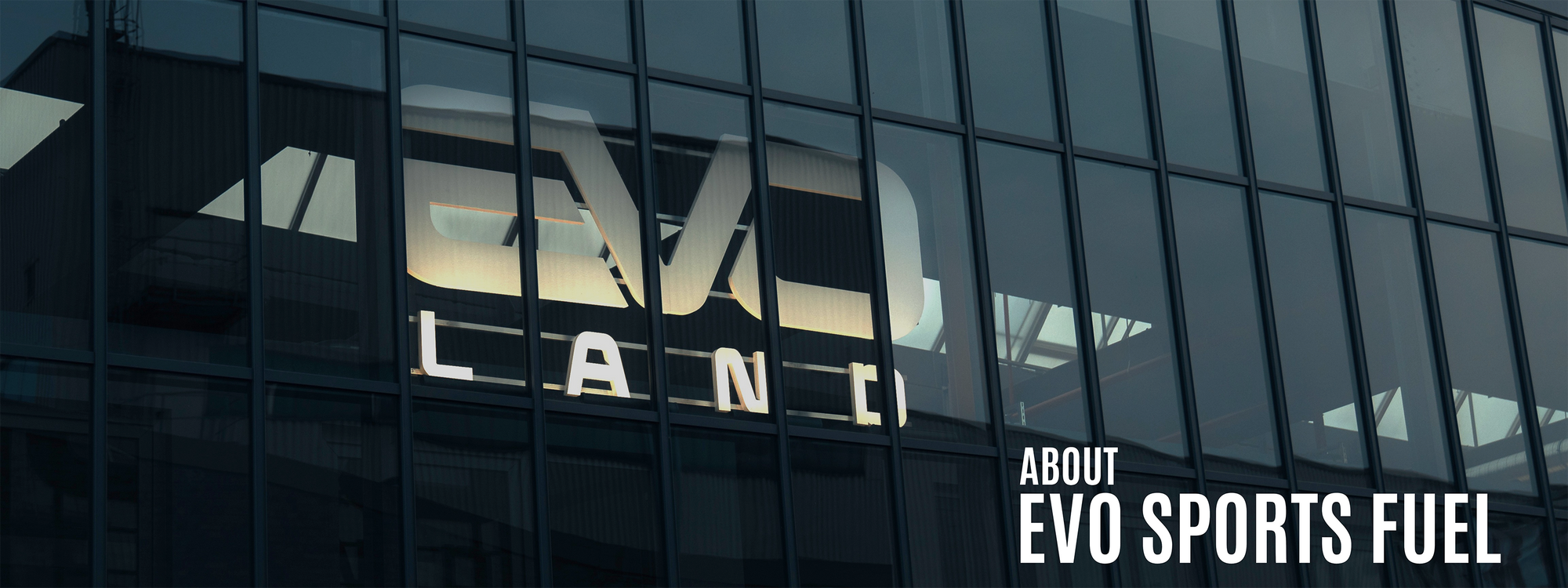 EVO SPORTS FUEL - Über uns